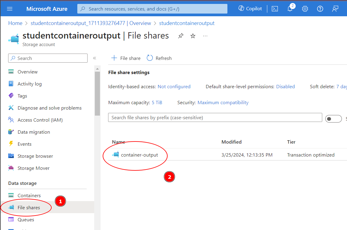 Once the status reports Succeeded , go to your storage account’s web dashboard and select File ...