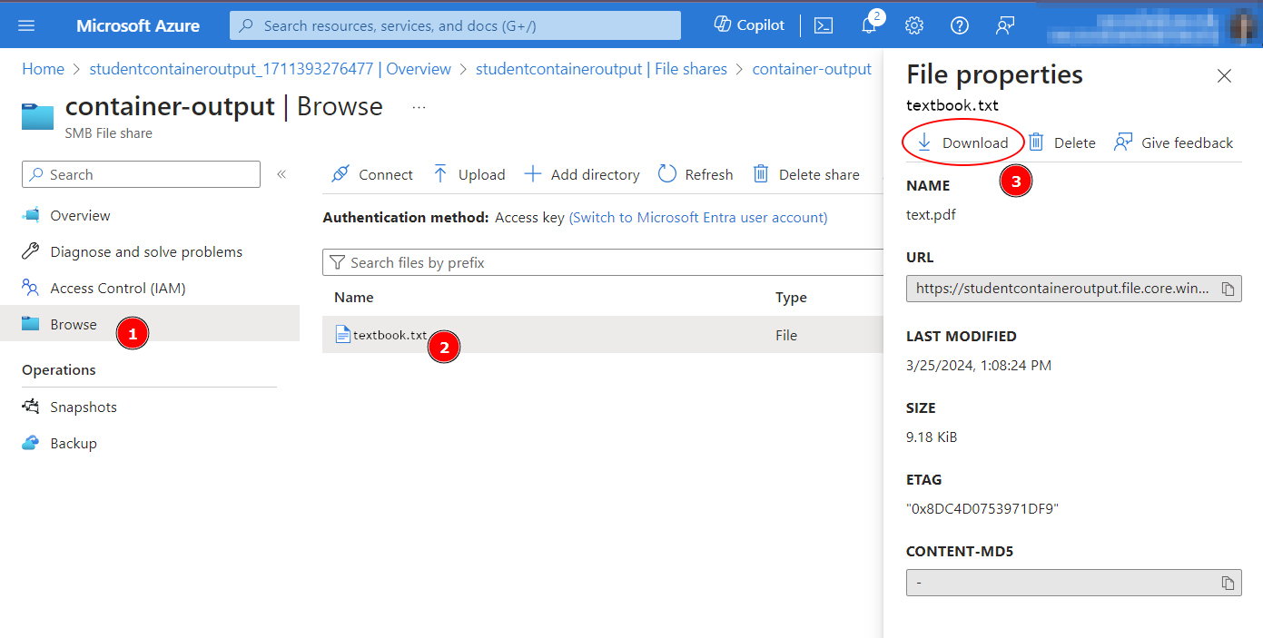From here, we can open the file up using your computer’s file explorer: